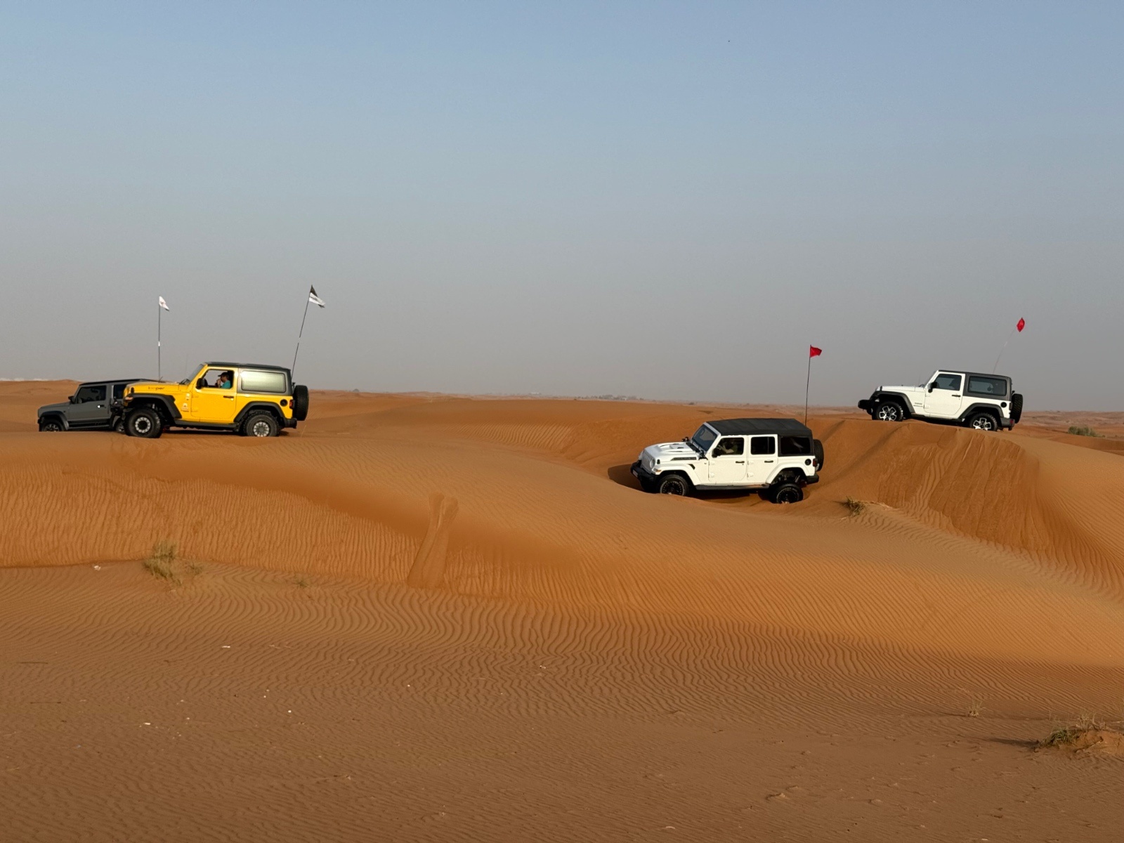 Morning Fewbie Plus Desert Drive - G Force Max - 2nd Dec Cafe - Sharjah ...